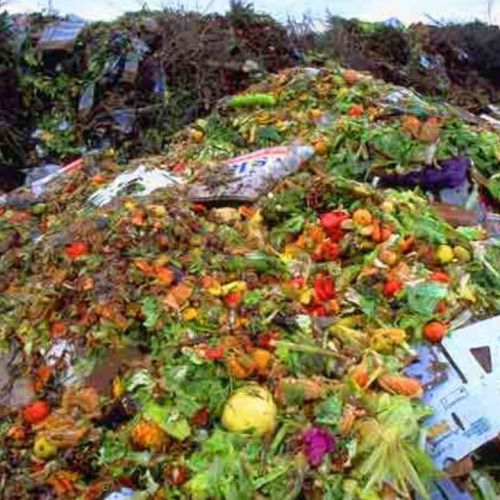 How Ready-Made Meals Can Help Combat Food Wastage | Blog